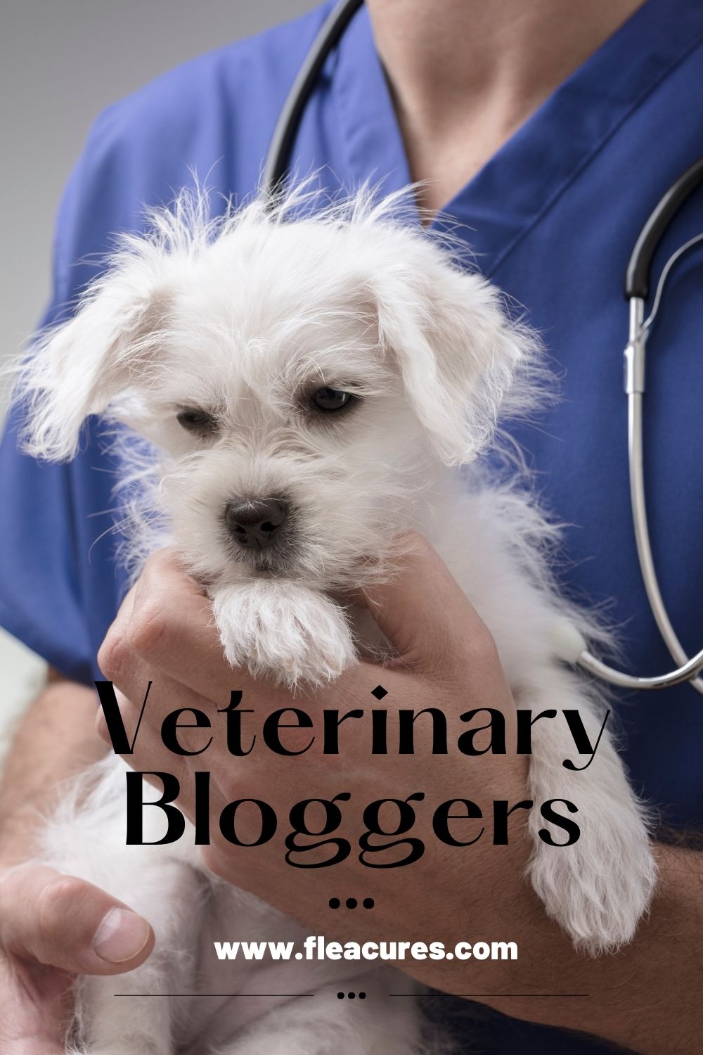 Veterinary Bloggers - Flea Cures